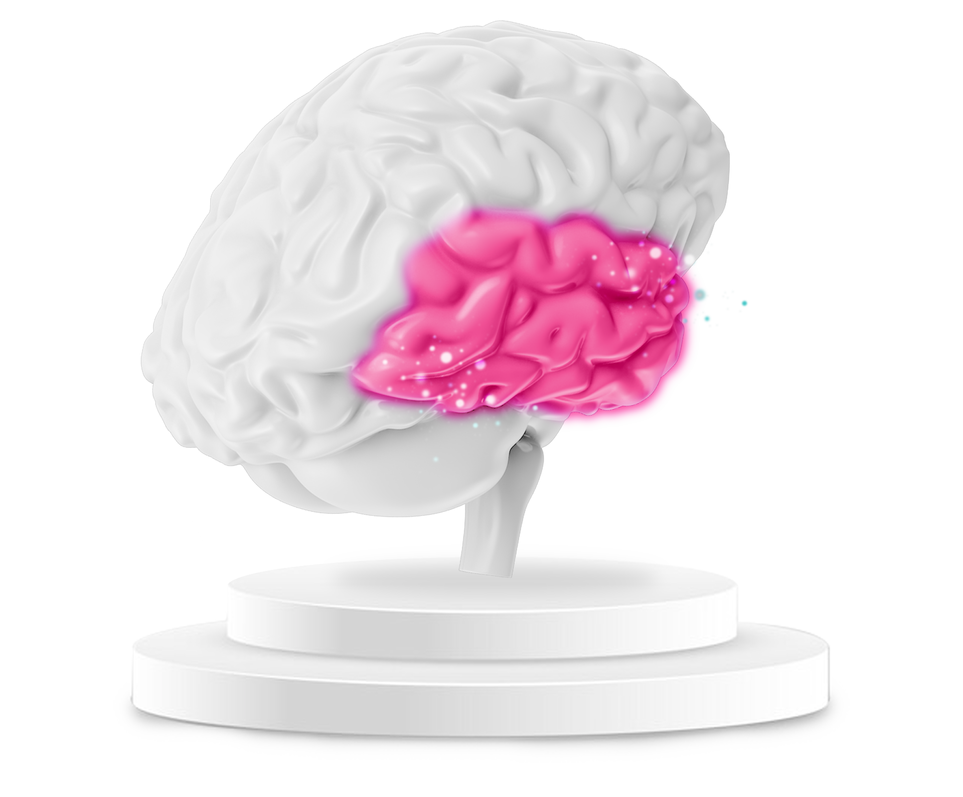 NB Academy | Learn new skills with thepower of neuroscience.